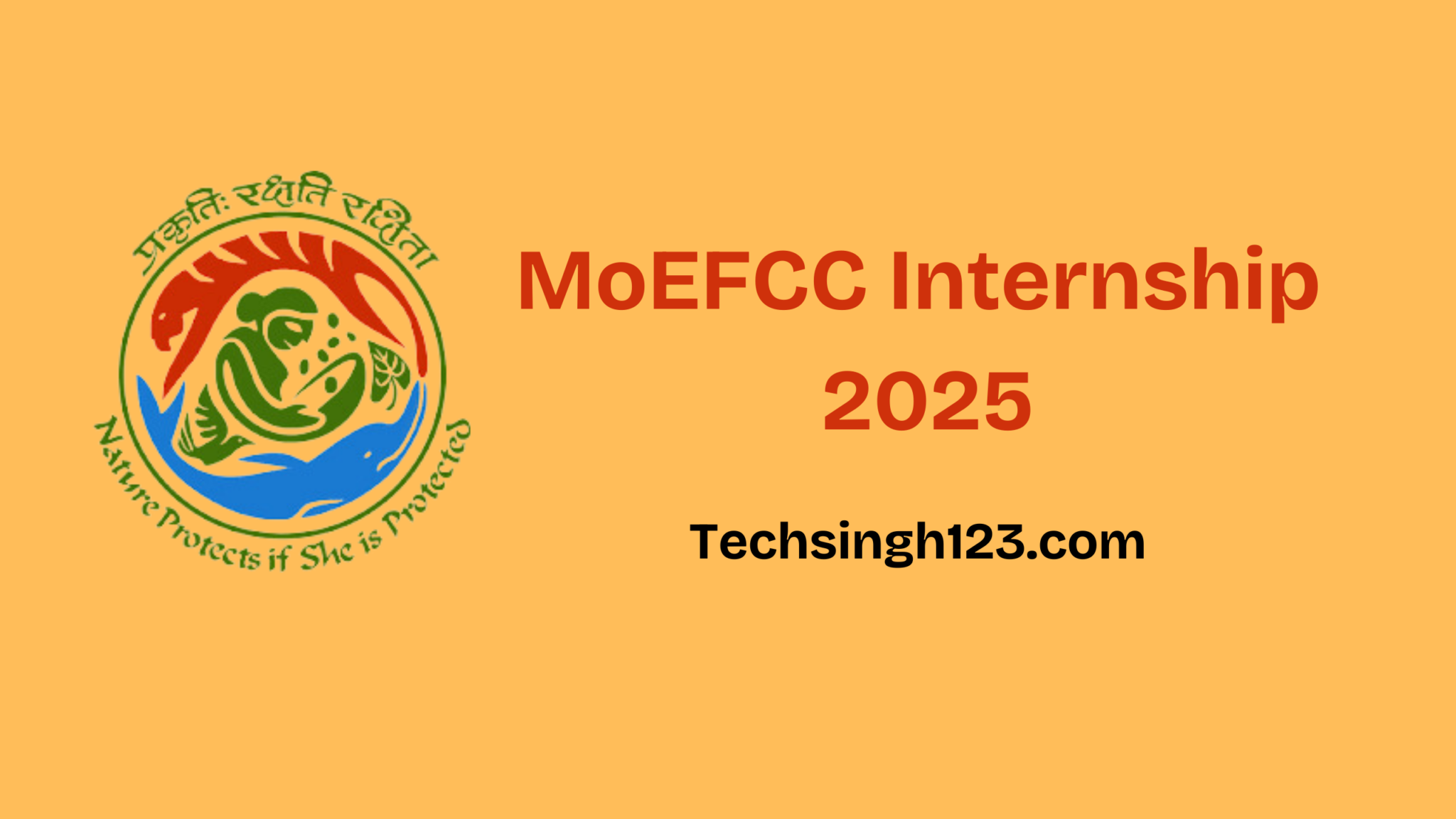 MoEFCC Internship 2025: Eligibility, Duration, Roles and Responsibilities