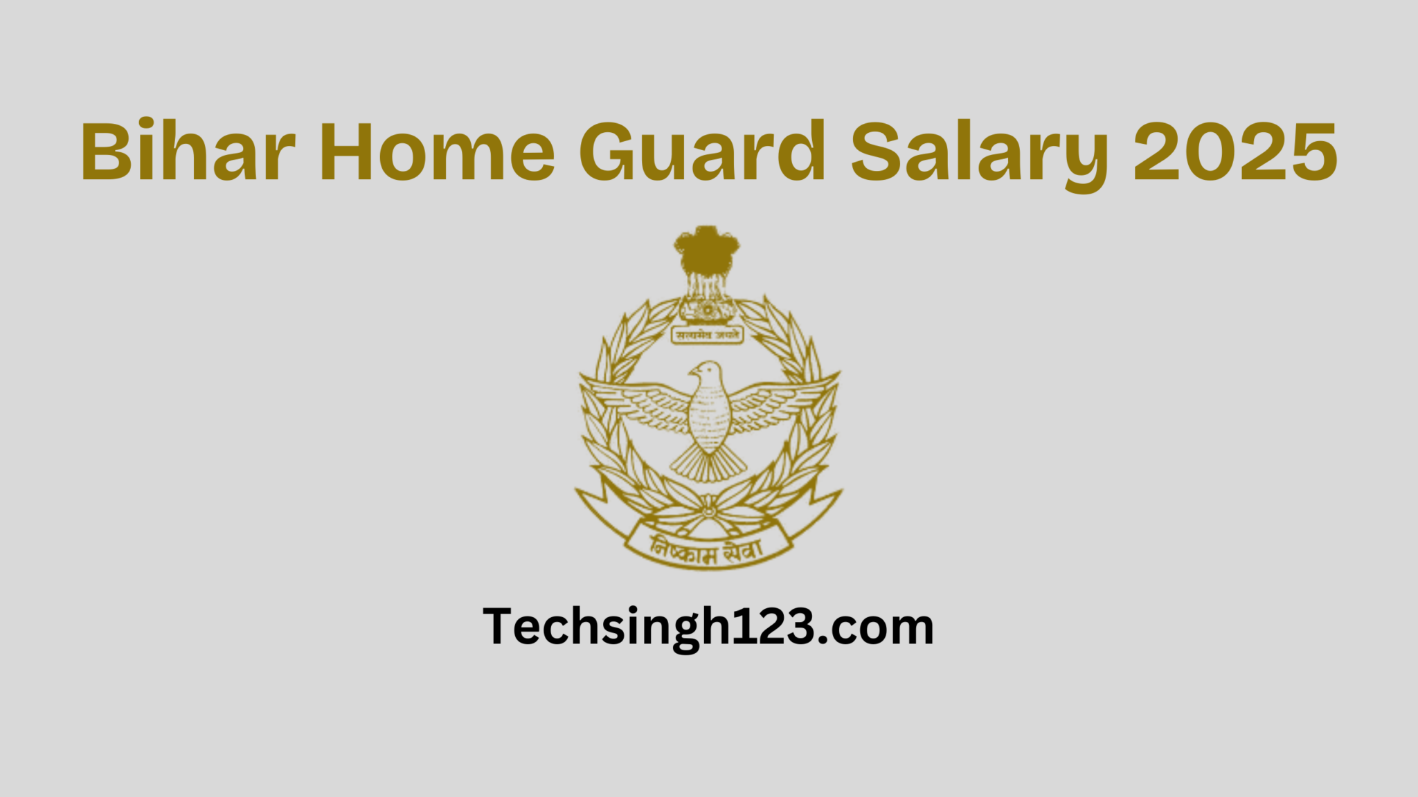 Bihar Home Guard Salary 2025: Basic Pay, Allowances, and Other Allowances