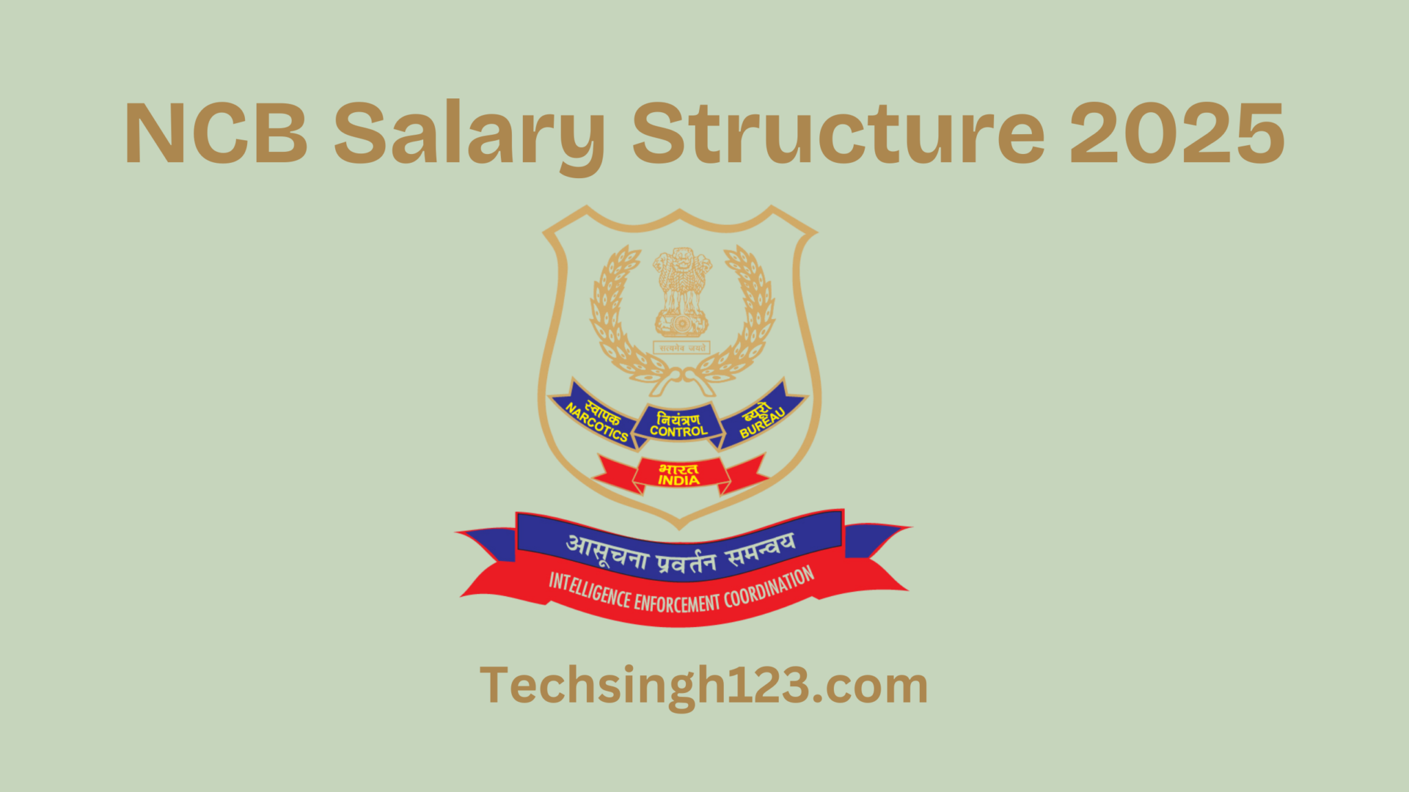 NCB Salary Structure 2025: Basic Pay, Allowances, and Other Benefits